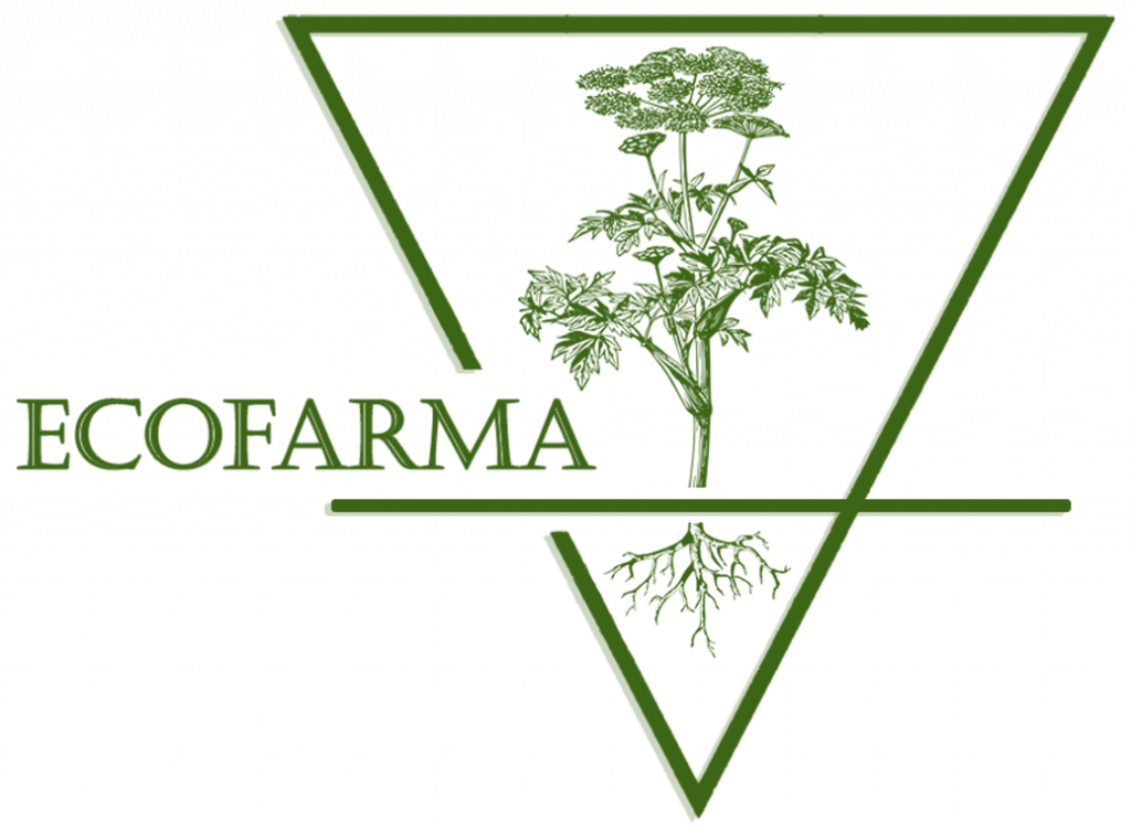 Order - Natural, Organic products for skin, beauty, taste